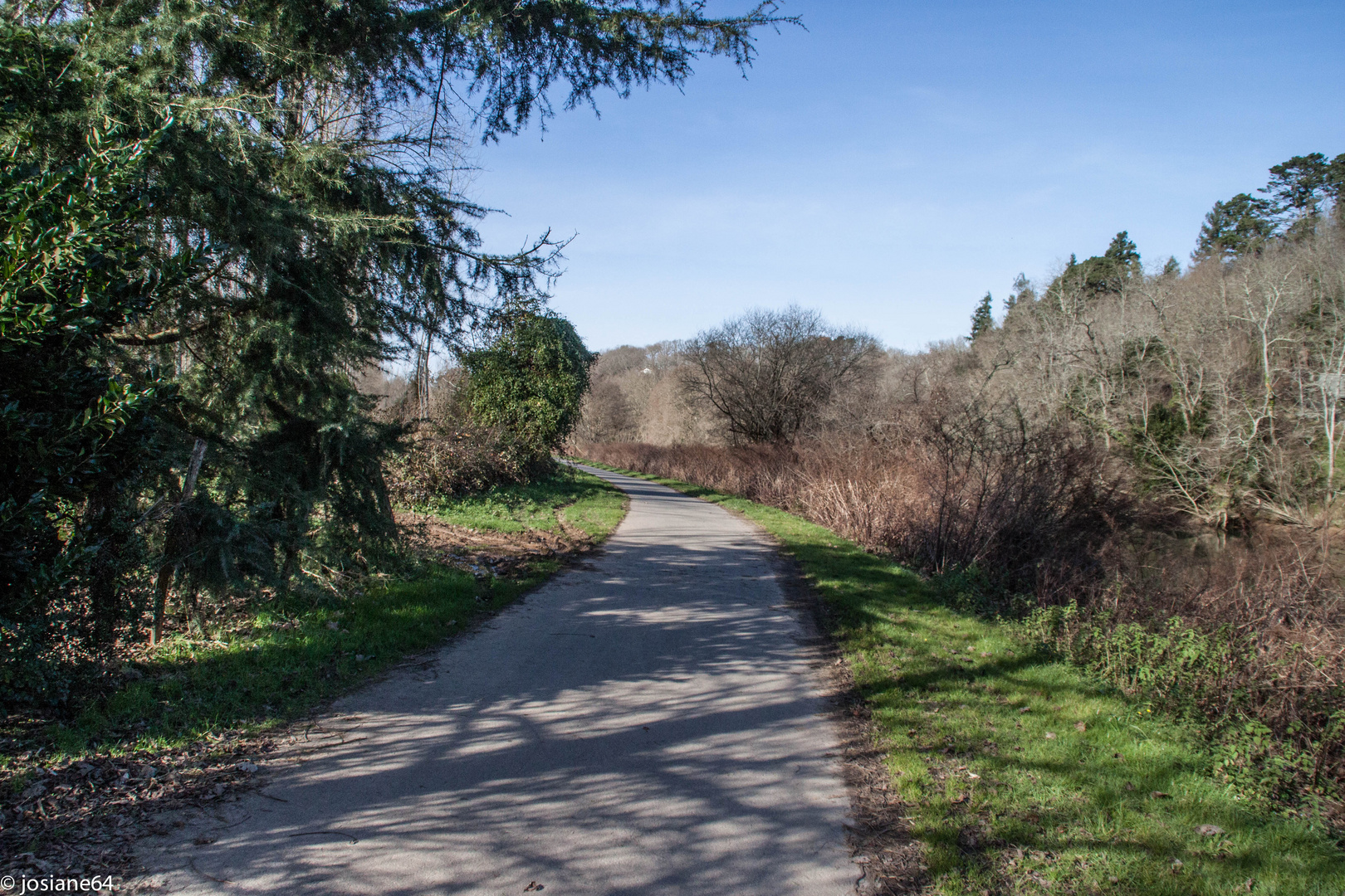 UN CHEMIN photo et image | paysages, la nature, nature Images fotocommunity