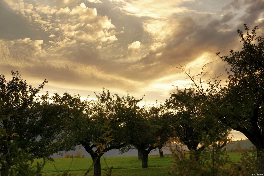 Un ciel pesant photo et image | paysages, ciel, nuages, nature Images ...
