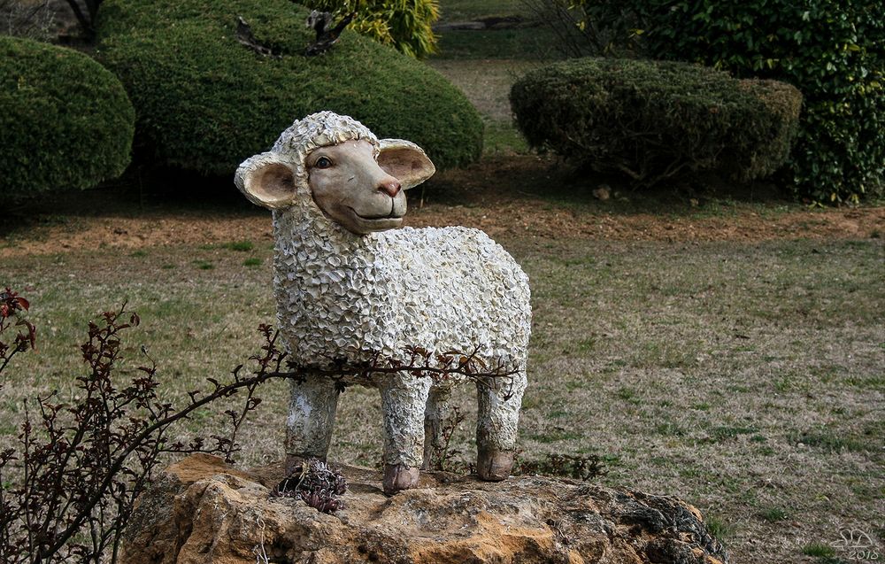 Un joli petit mouton ..... photo et image | statues, sculptures, les ...