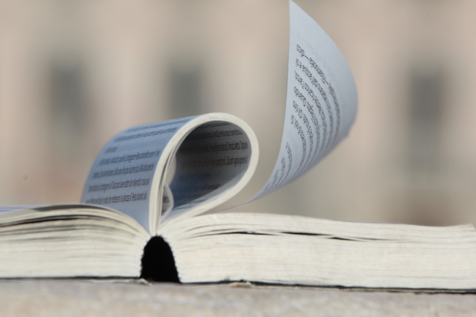 un libro aperto Foto % Immagini| fotos, studio, europe Foto su ...