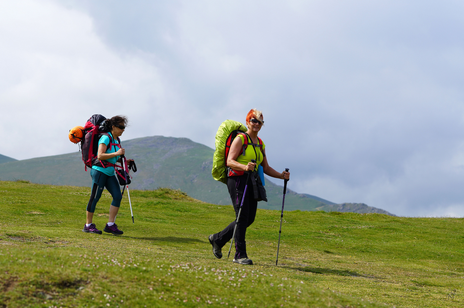 Un long chemin pour ces randonneuses .... photo et image | special ...