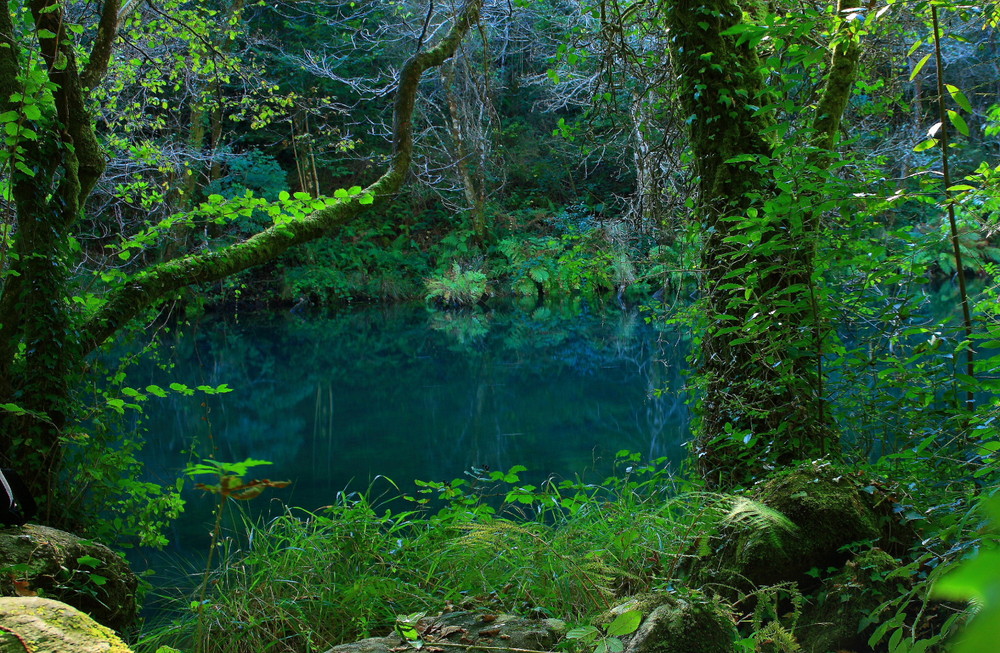 un lugar magico Imagen & Foto | paisajes, ríos y cascadas, naturaleza ...