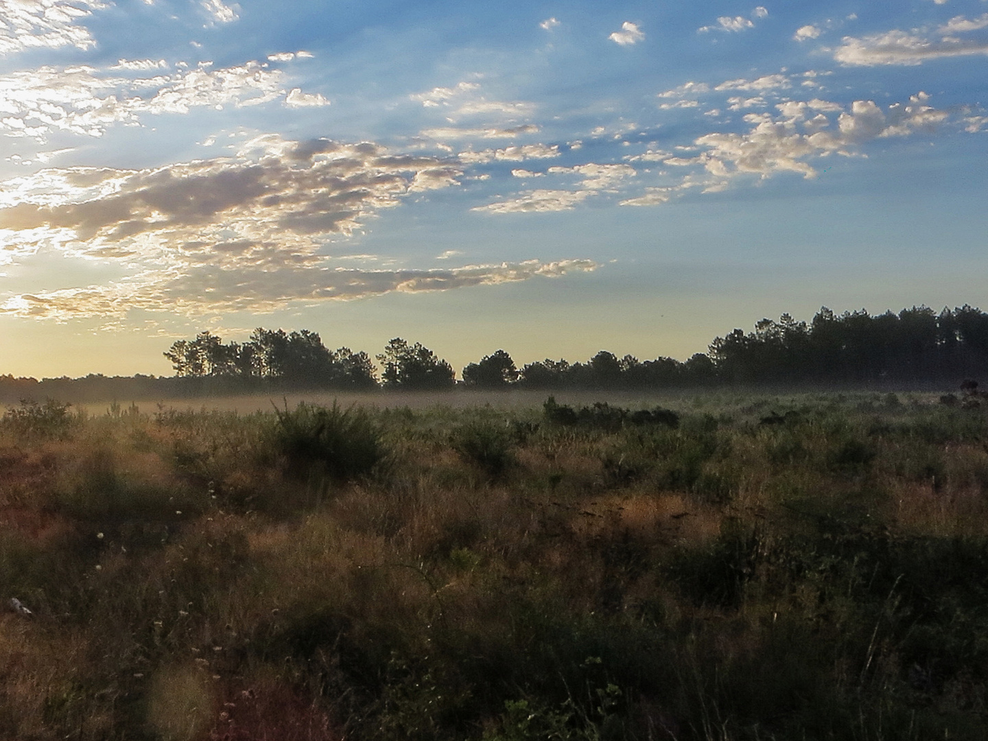 un matin ! photo et image | paysages, paysages de campagne, divers ...