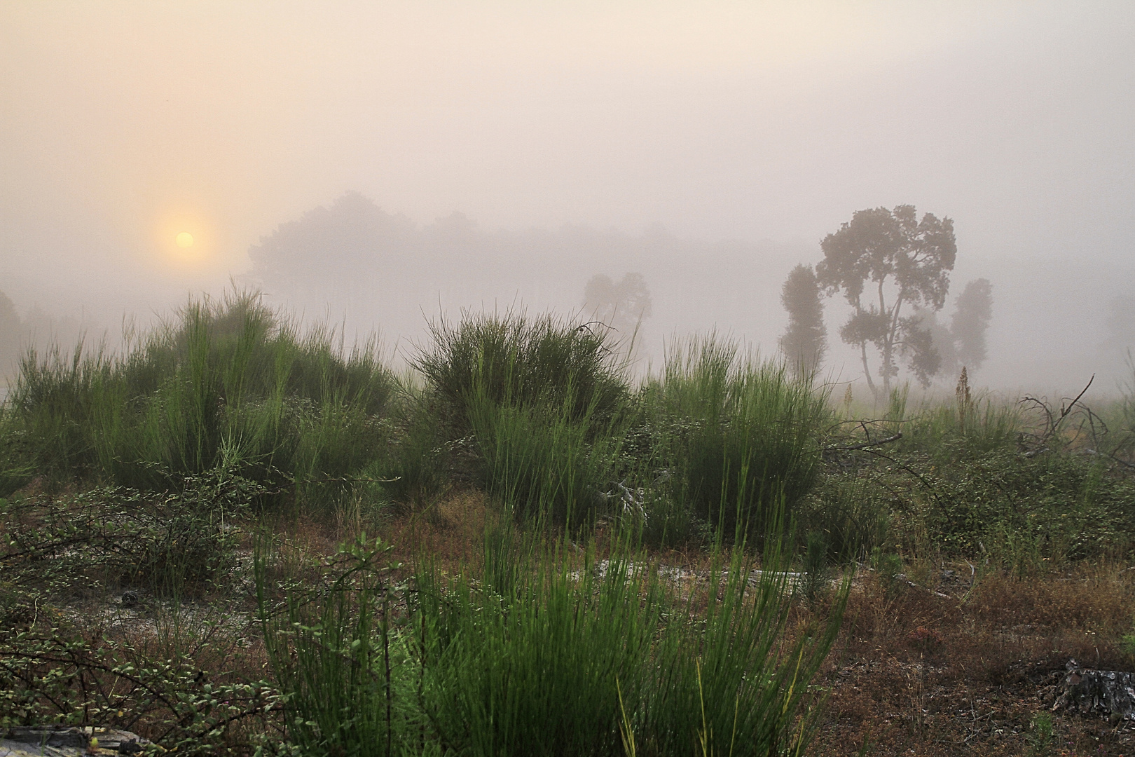 un matin ! photo et image | special, animations photographiques ...