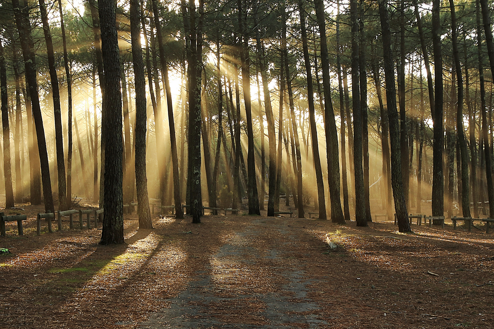 un matin ! photo et image | nature Images fotocommunity