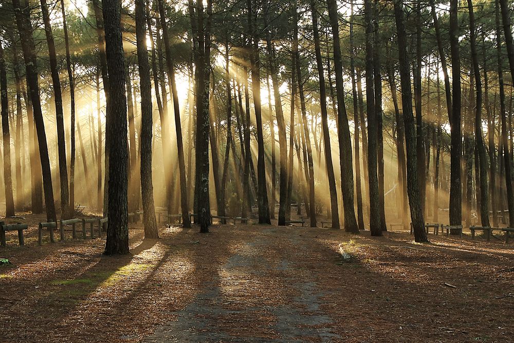 un matin ! photo et image | nature Images fotocommunity