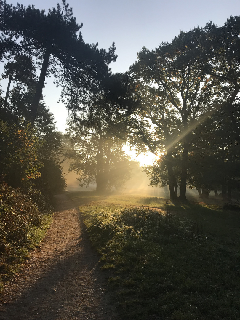 Un matin ! photo et image | fotos, france, nature Images fotocommunity