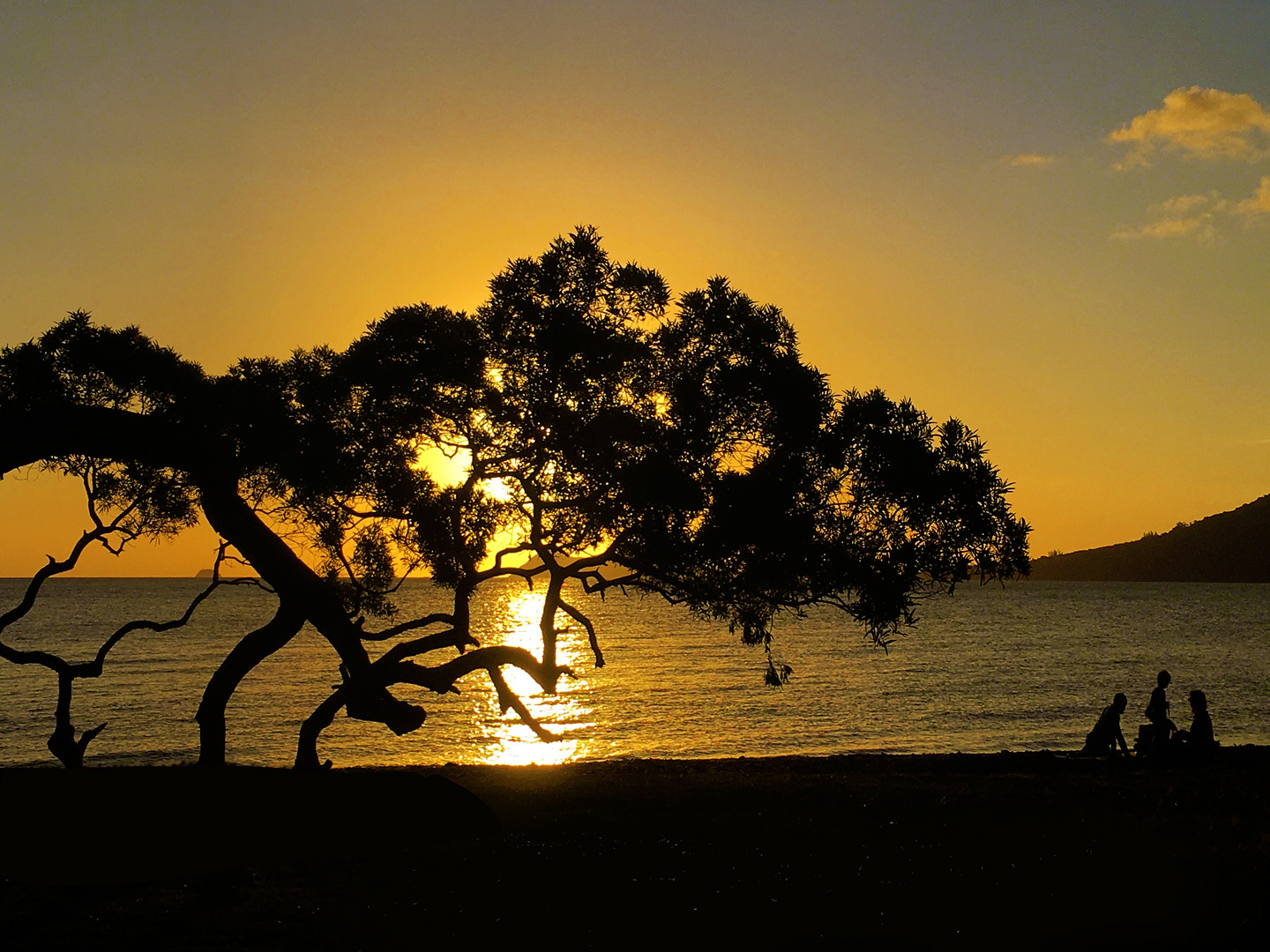 Un petit moment de zénitude dans ce monde cinglé ! photo et image ...