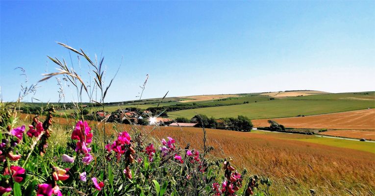 Paysages de campagne Images & Photos