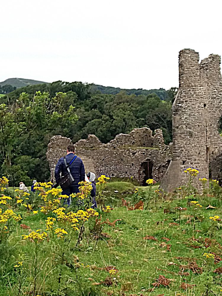 UN tocco di colore..a Pennard castle...Galles Foto % Immagini| europe ...