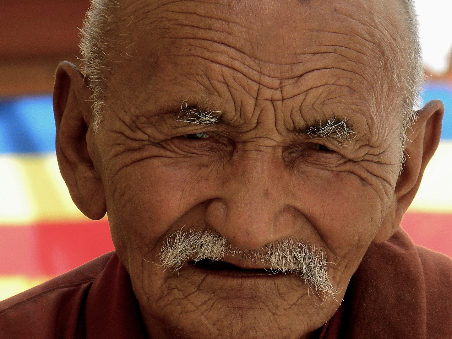 Un volto........................... Foto % Immagini| ritratto, tagli ...