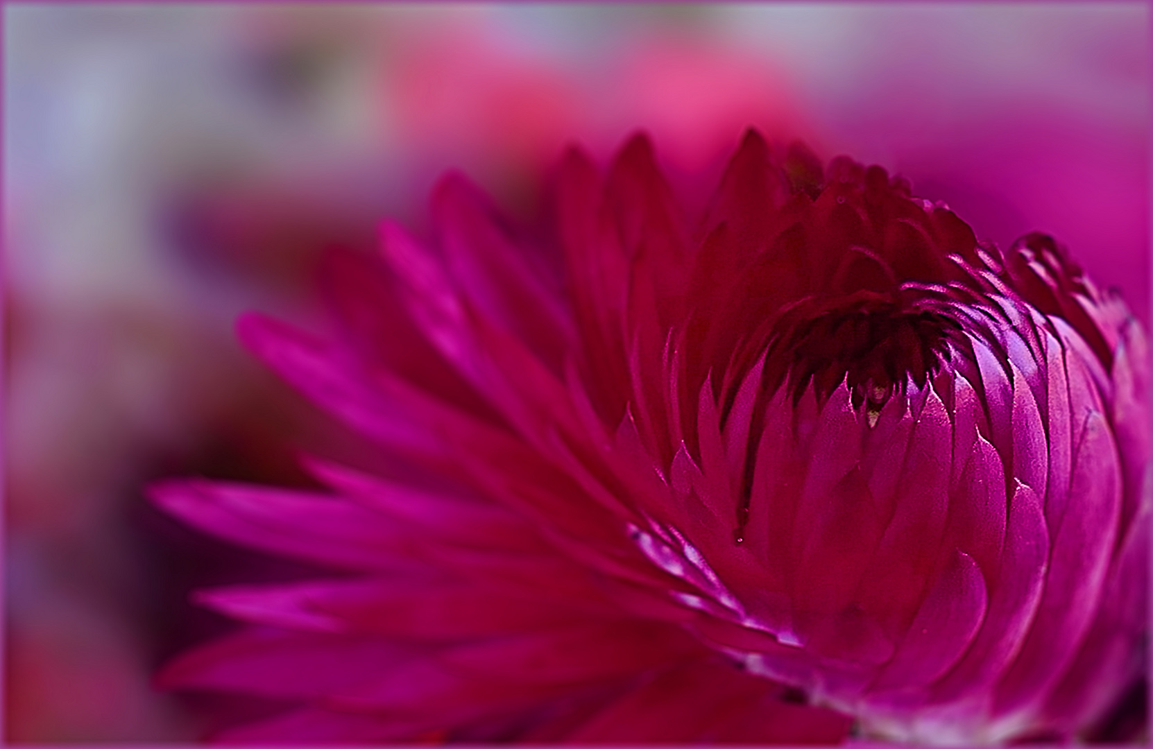 Una flor Foto & Bild | fotos difusas , spezial, natur Bilder auf ...