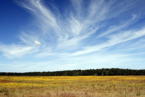 Sabine Grewe - Fotos & Bilder - Fotografin | fotocommunity