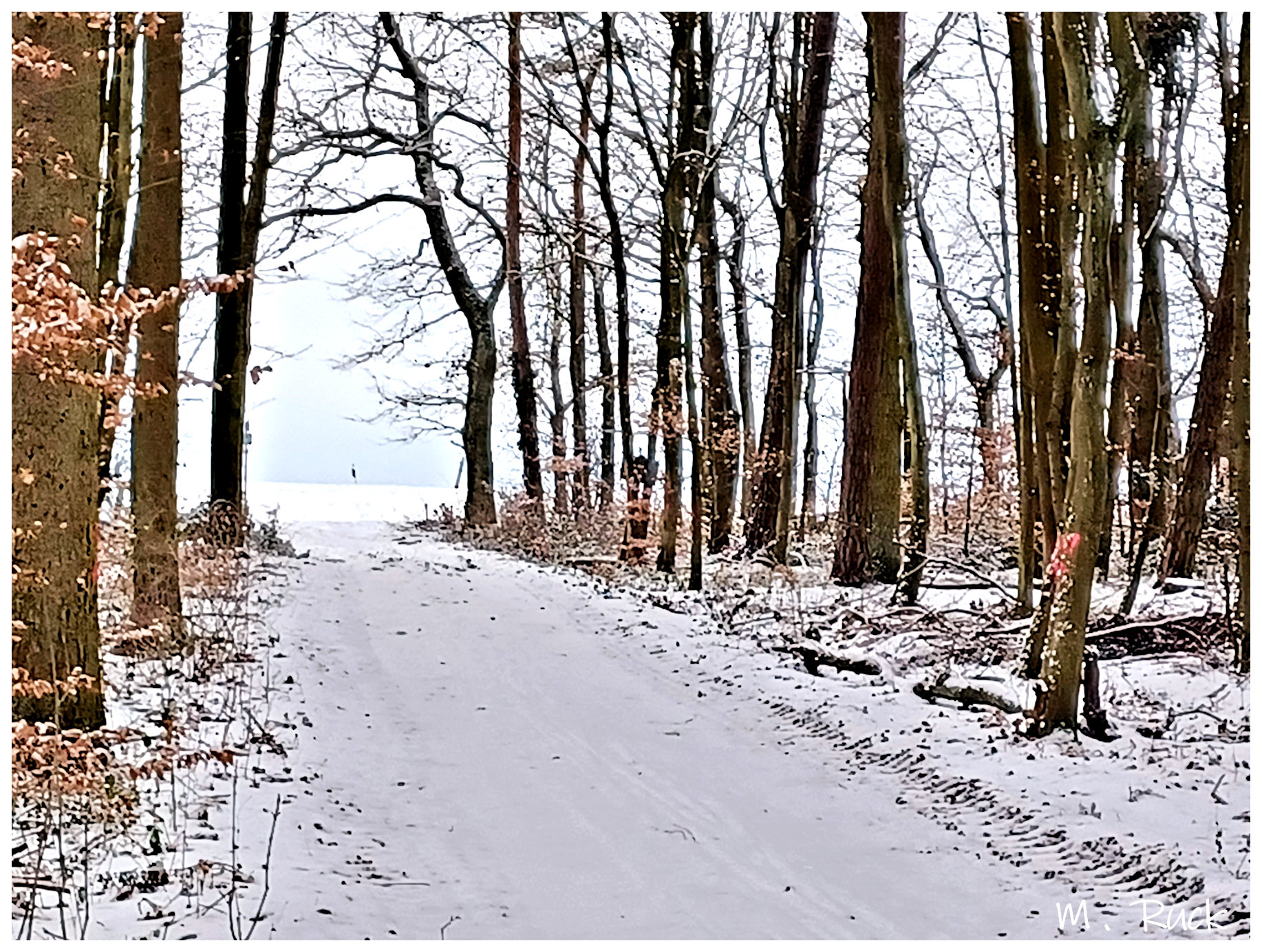 Und am Ende wurde es wieder hell ! Foto & Bild | natur-kreativ, wald ...