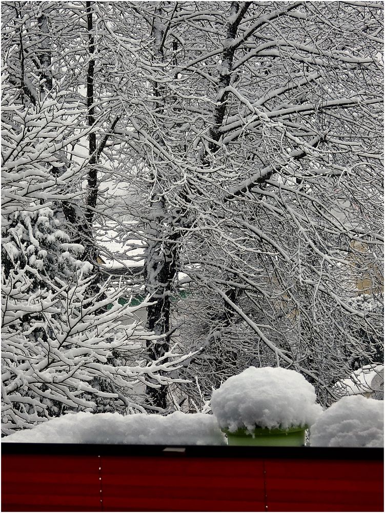 Und auf einmal war wieder alles weiß ... Foto & Bild | natur ...