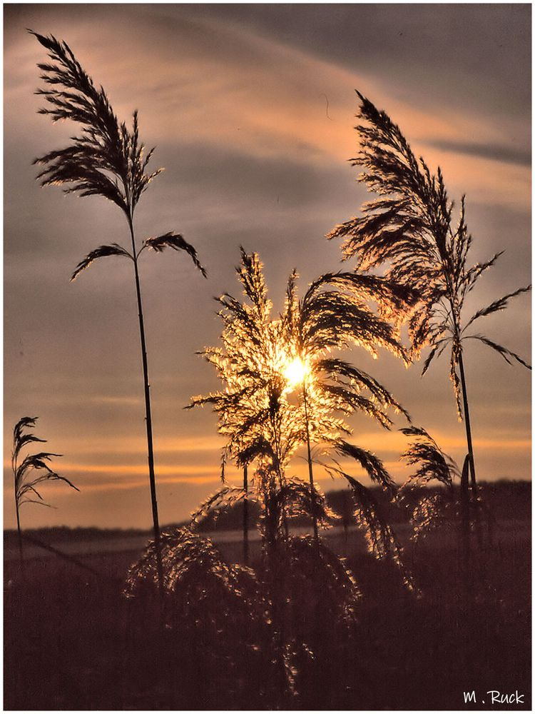 Und der Abend ist gekommen , Foto & Bild | landschaft, wolken, himmel ...