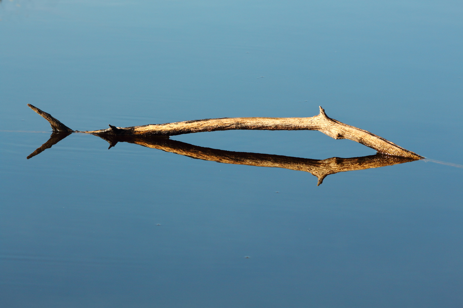 "Und der Haifisch der hat Flossen...." Foto & Bild | landschaft ...