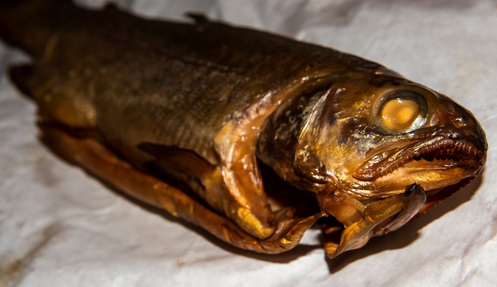 Und der Haifisch, der hat Zähne Foto & Bild | fotos, art, fun Bilder ...