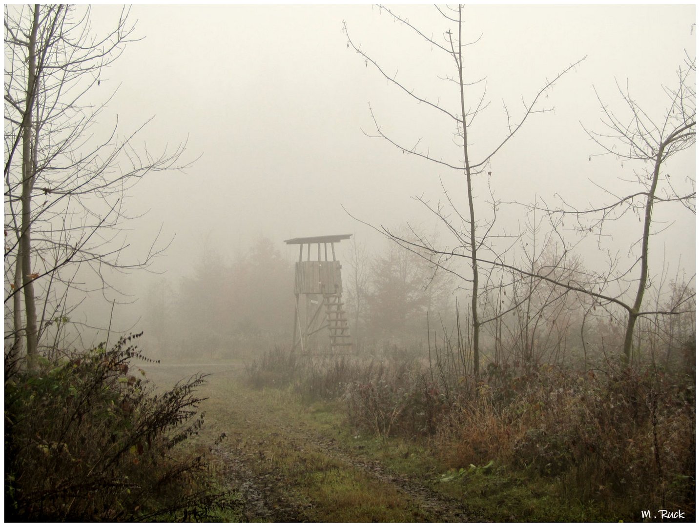 Und die Nebel nehmen zu , Foto & Bild | landschaft, wald, bäume Bilder ...