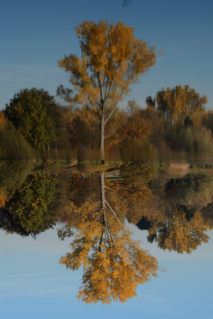 und die Welt steht Kopf Foto & Bild | landschaft, home, natur Bilder auf fotocommunity