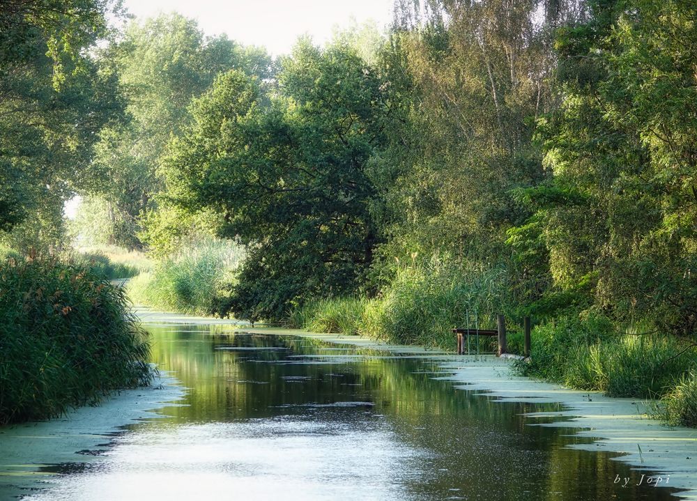 ...und es war Sommer Foto & Bild | natur, landschaft, fluss Bilder auf ...