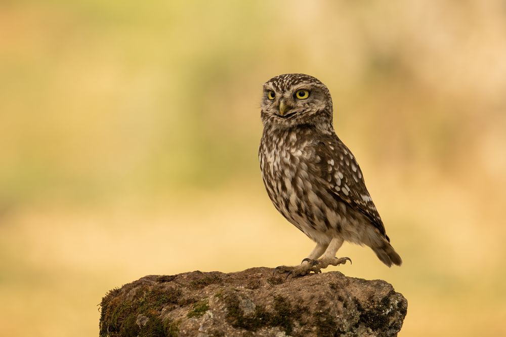 und hoch das Bein Foto & Bild | fotos, nikon, world Bilder auf ... und hoch das Bein Foto & Bild | fotos, nikon, world Bilder auf ...