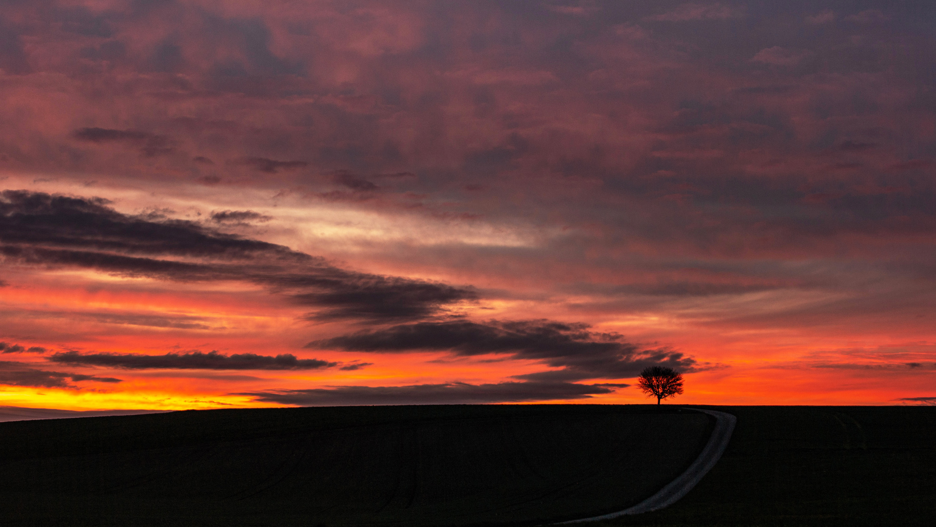 und horchen in den Mai hinein" II Foto & Bild | deutschland, europe ...