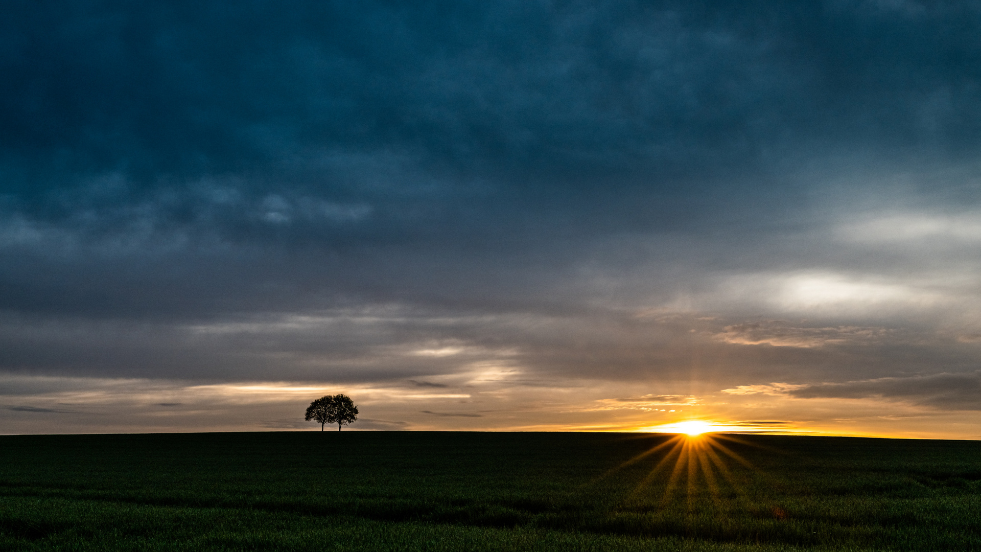 und horchen in den Mai hinein" IV Foto & Bild | deutschland, europe ...