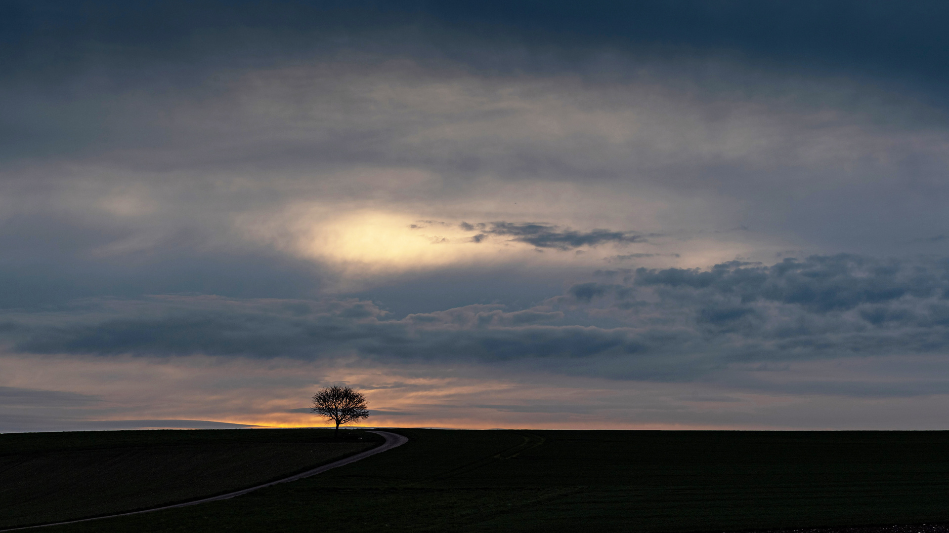 und horchen in den Mai hinein" V Foto & Bild | mai, world, bäume Bilder ...