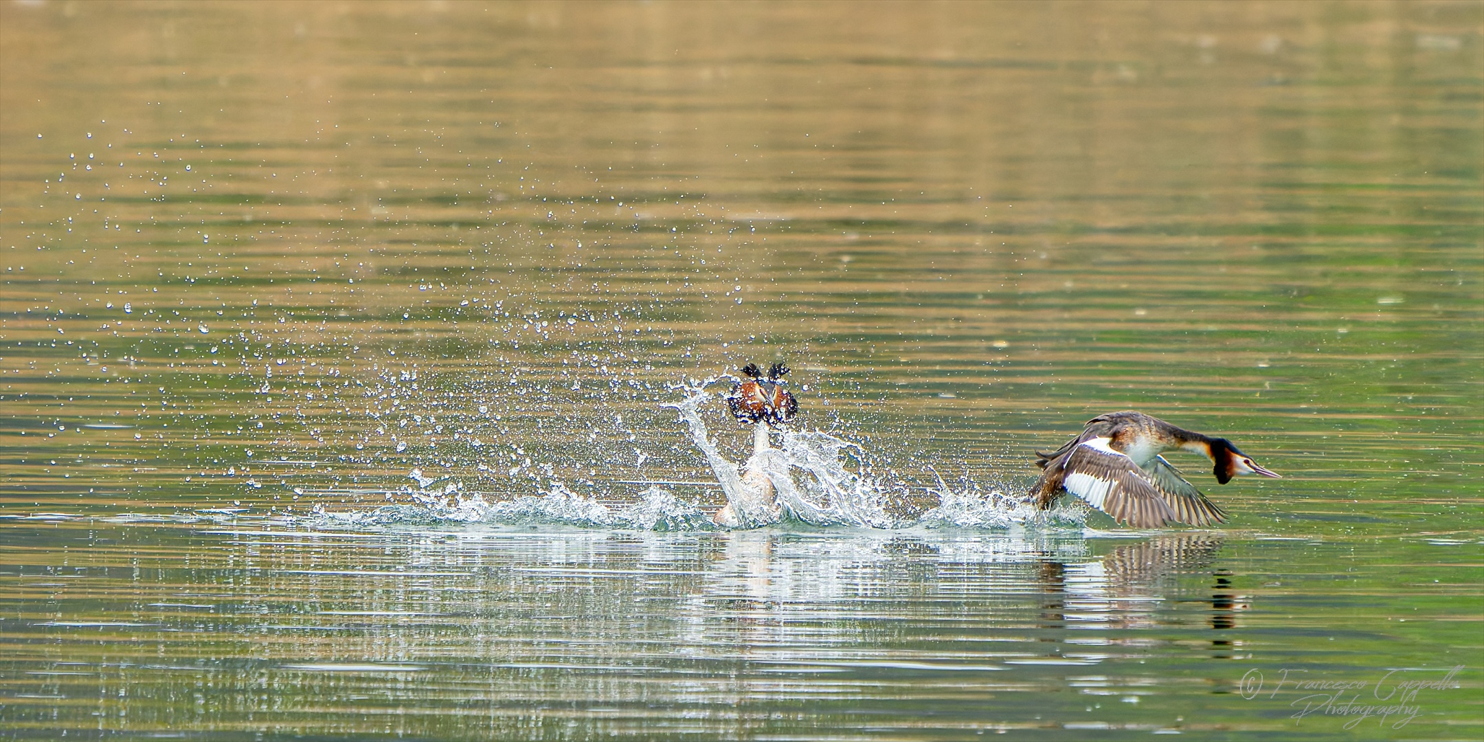 und tschüss ... Foto & Bild | natur, landschaft, fluss Bilder auf ...