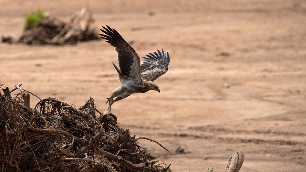 und Tschüss Foto & Bild | fotos, nikon, world Bilder auf fotocommunity