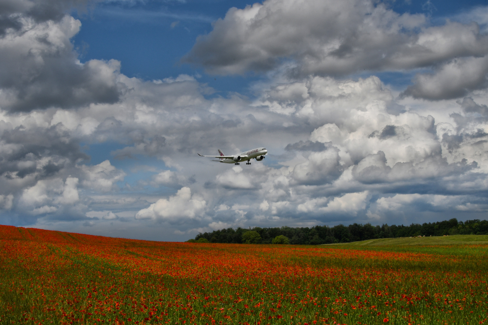 und tschüss Foto & Bild | mohn, rebekka d., reisen diverse Bilder auf ...