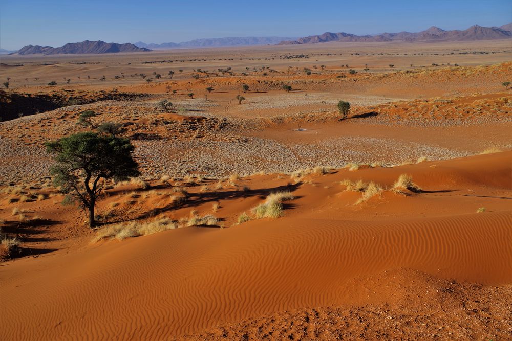 und tschüss Foto & Bild | africa, southern africa, namibia Bilder auf ...
