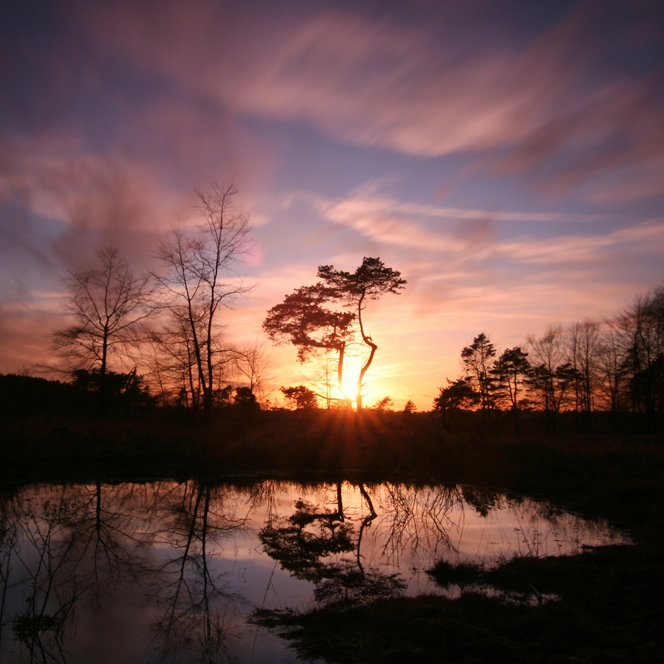 und tschüß Foto & Bild | landschaft, heide, welt Bilder auf fotocommunity