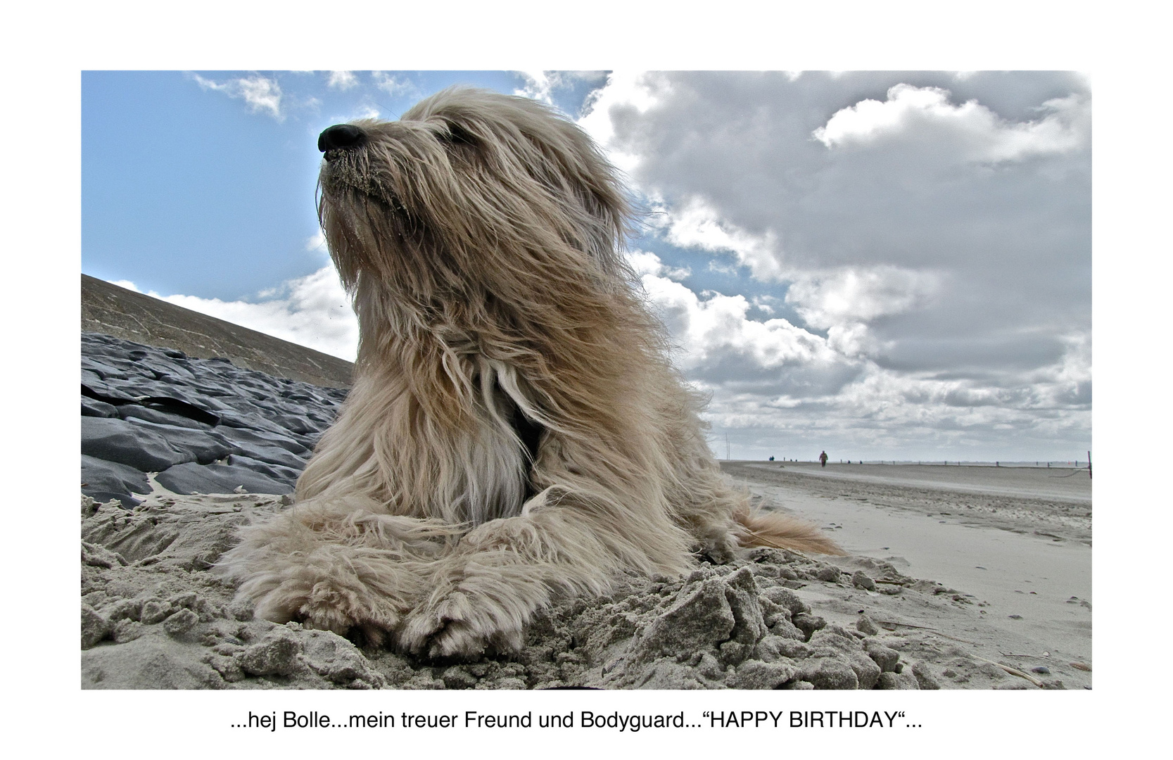 ...und tschüss... Foto & Bild | hunde, natur, tiere Bilder auf ...
