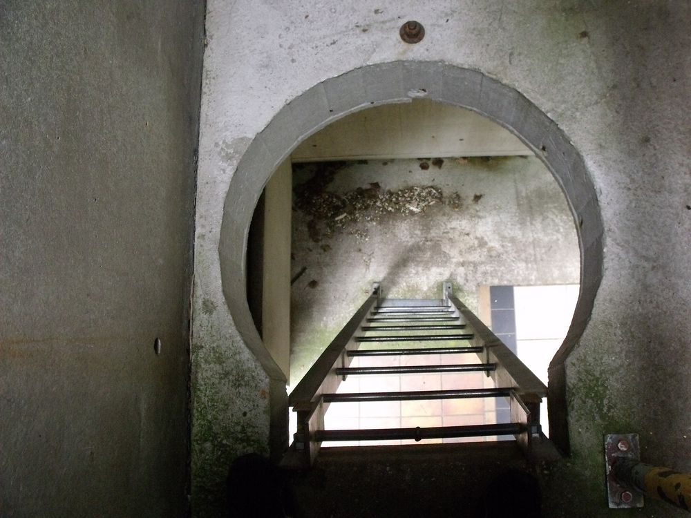 "Und wenn du lange in einen Abgrund blickst, blickt der Abgrund auch in ...