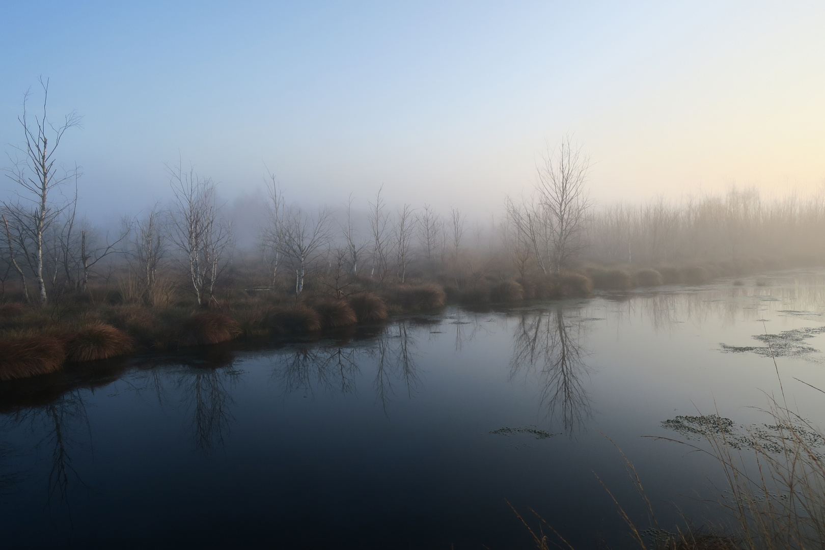 Und wieder das Moor Foto & Bild | sonnenaufgang, licht, landschaft ...