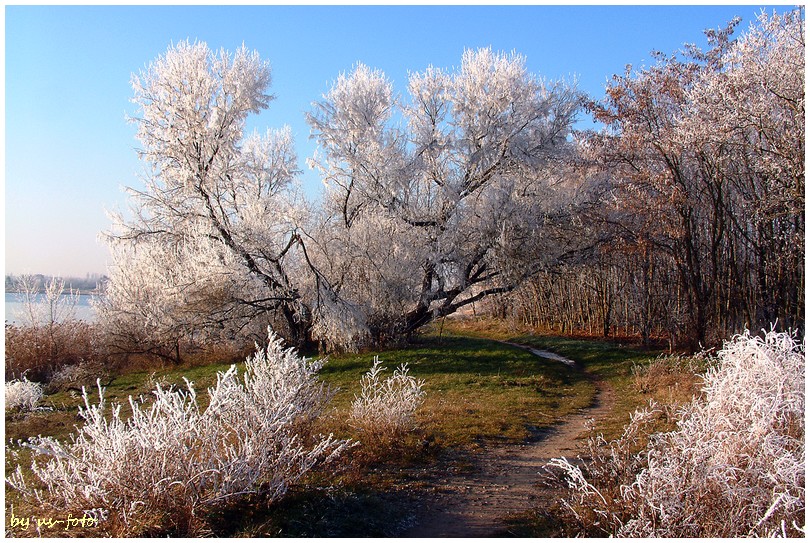 und wieder nur ein bißchen Reif ... Foto & Bild | jahreszeiten, winter ...