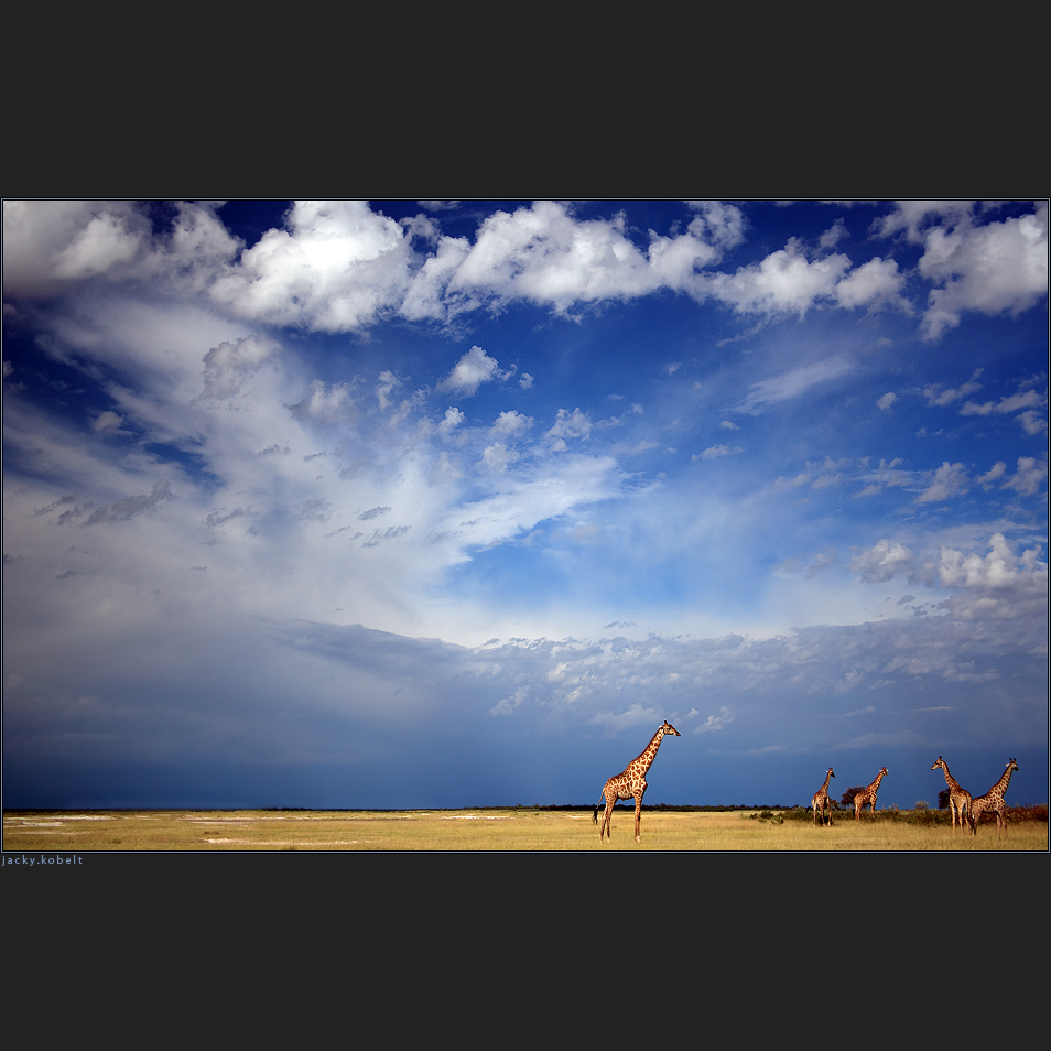 Under an African sky Foto & Bild | africa, southern africa, namibia ...