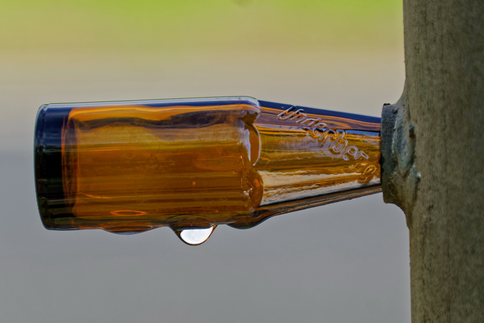 Underberg der letzte Tropfen Foto & Bild | stillleben, food-fotografie ...