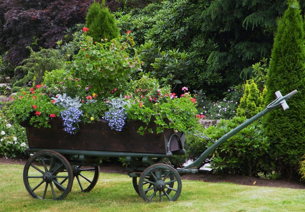 Une charrette bien garnie. photo et image | jardins, fleurs et insectes ...