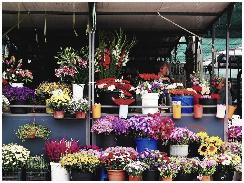 Une des fleuristes du marché photo et image | flowers, street, blumen ...