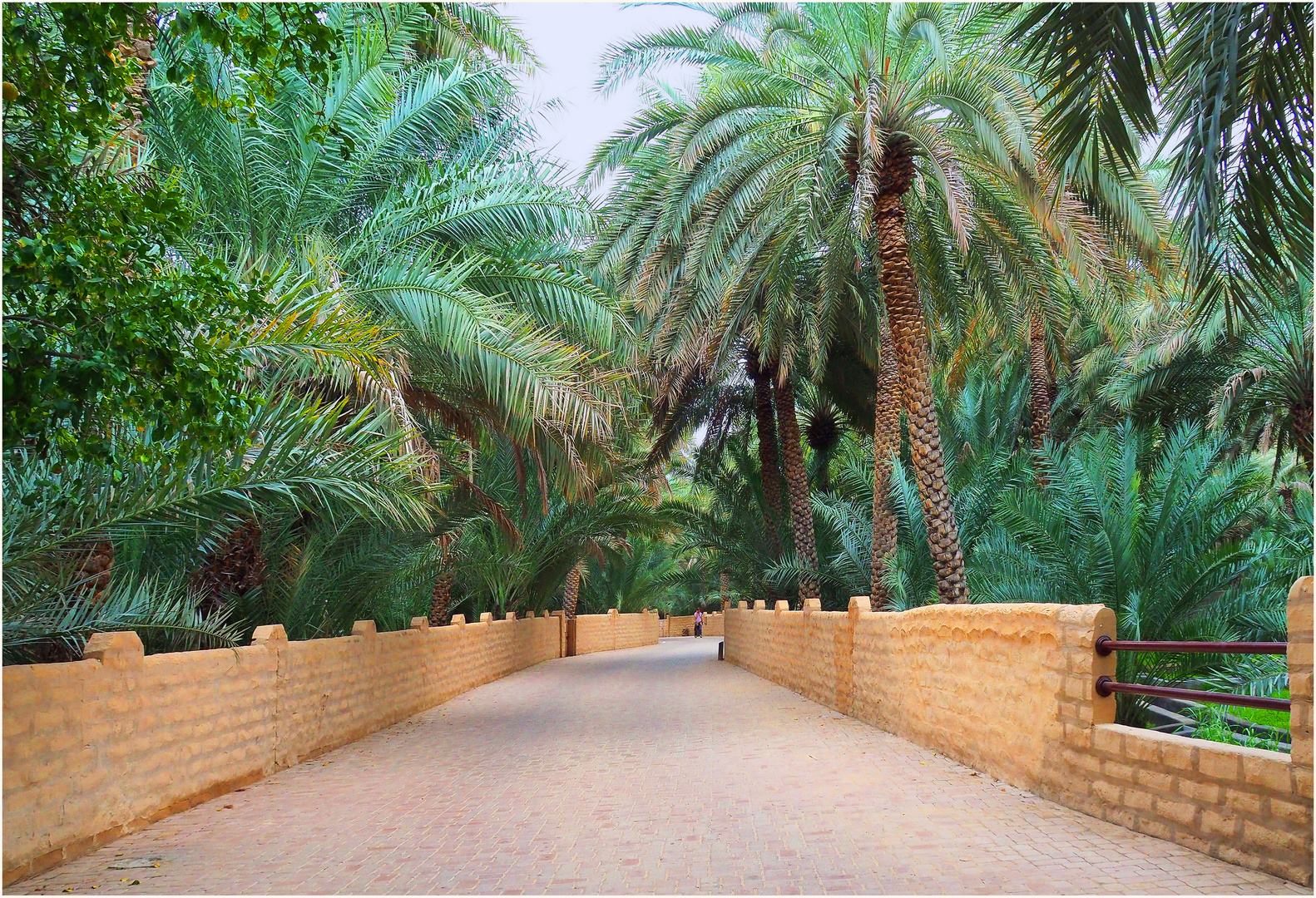 Une palmeraie particulièrement bien entretenue photo et image | asia ...