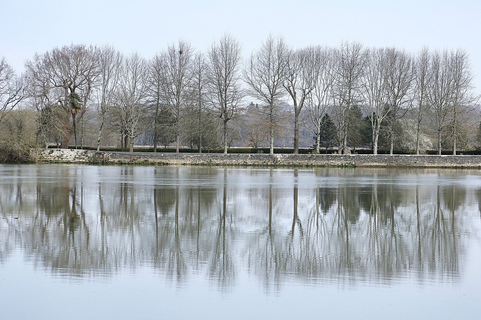 une rangée d'arbres ! photo et image | nature Images fotocommunity