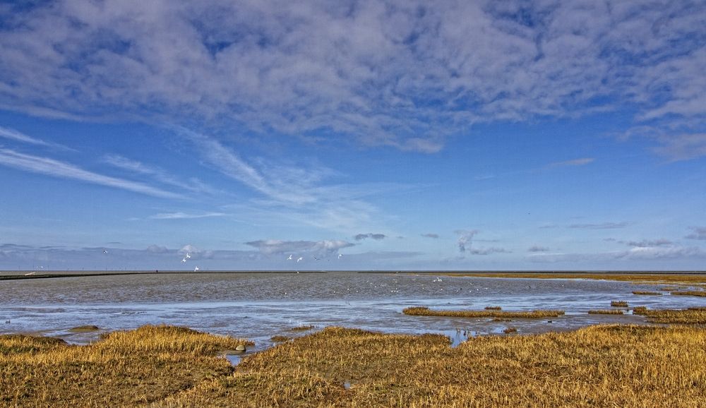 Unendliche Weite Foto & Bild | landschaft, meer & strand, cuxland ...