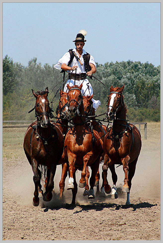 Ungarn Pusta Foto & Bild | europe, hungary, balaton Bilder auf ...