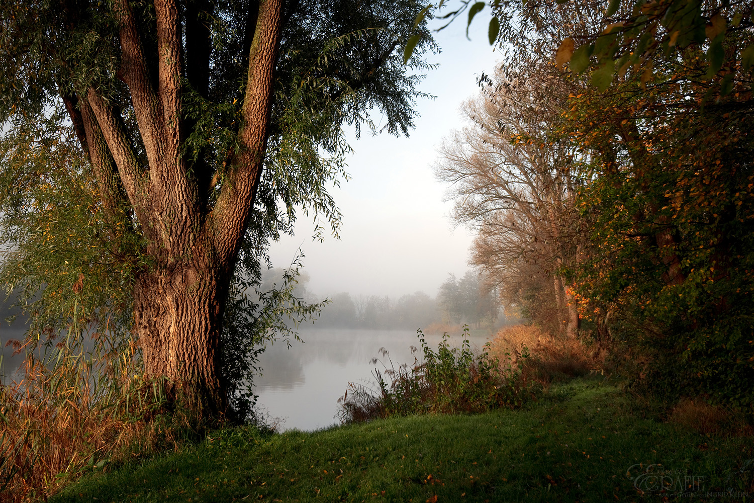 Ungewisses Versprechen Foto & Bild | wasser, see, nebel Bilder auf fotocommunity