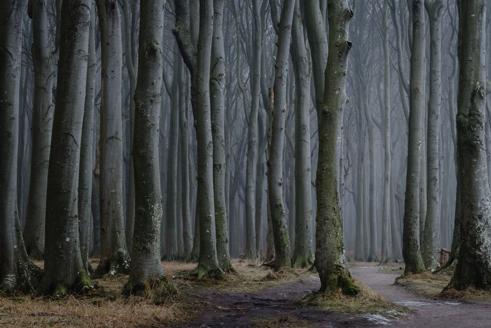 Unheimlich Foto & Bild | deutschland, europe, mecklenburg- vorpommern ...