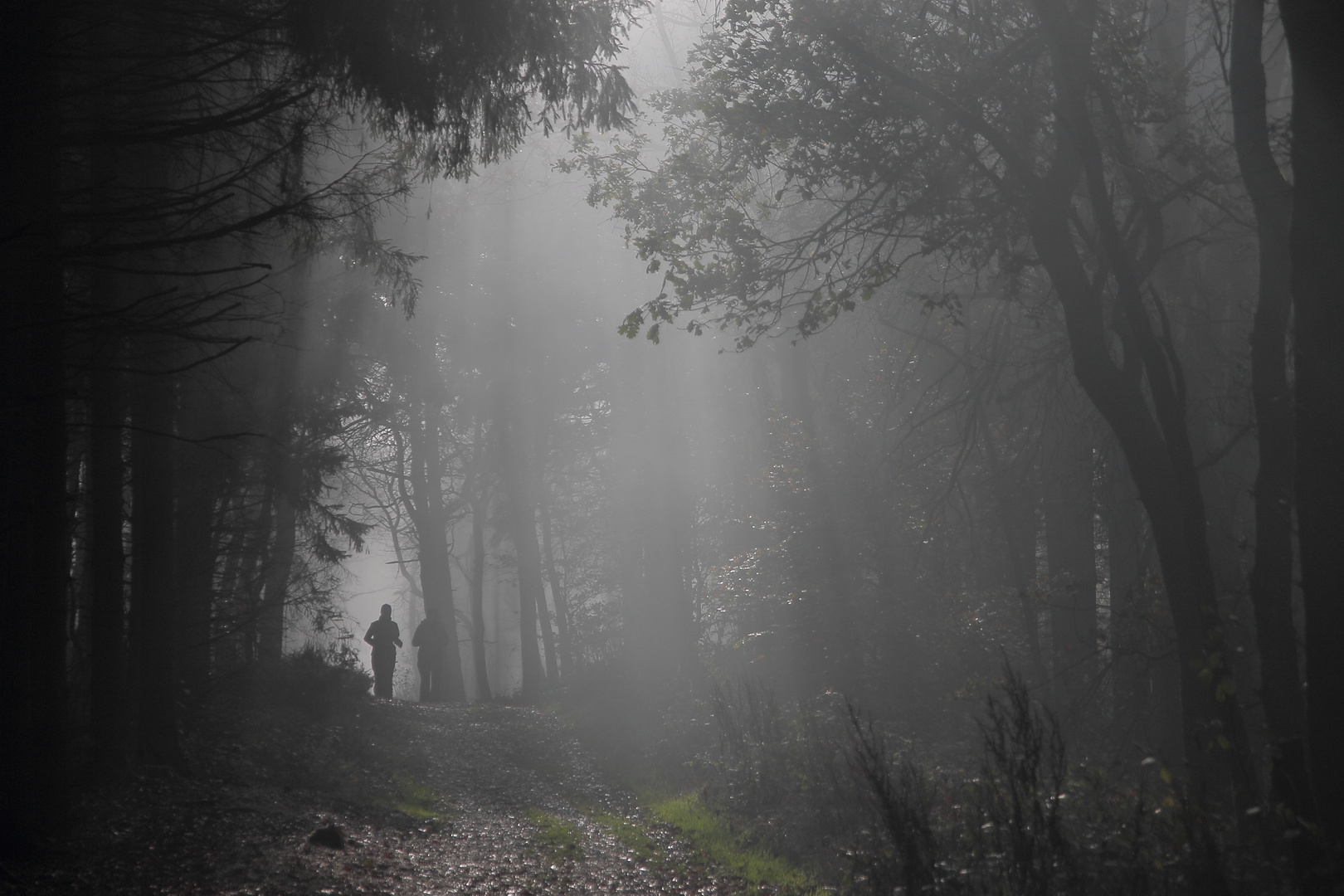 Unheimlich Foto & Bild | jahreszeiten, herbst, rund um wiedenbrück ...