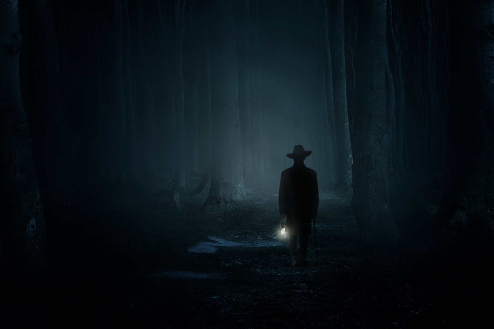 Unheimliche Begegnung Foto & Bild | wald, bäume, weg Bilder auf ...